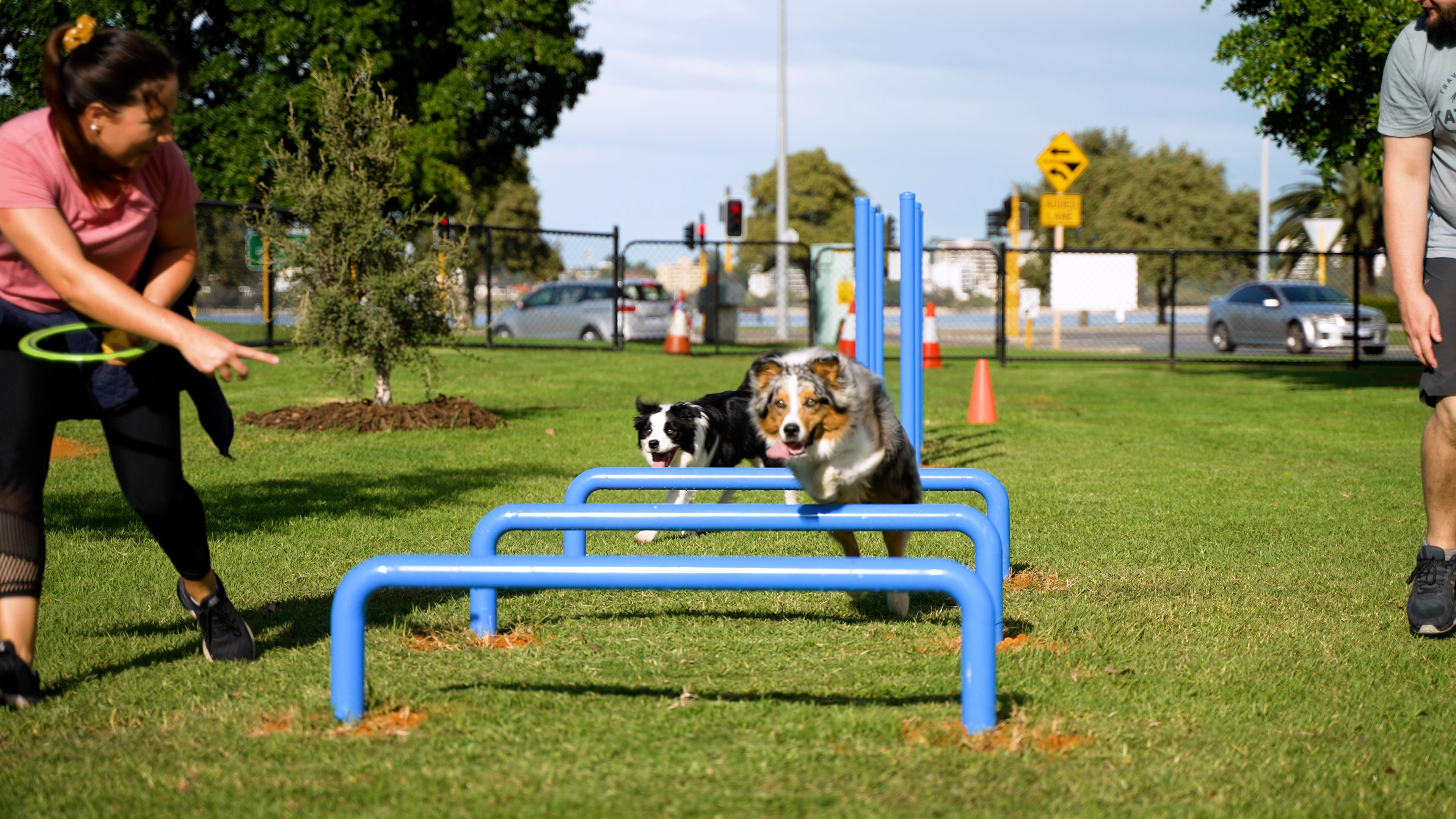 Ozone Reserve Dog Agility Park Open | City of Perth