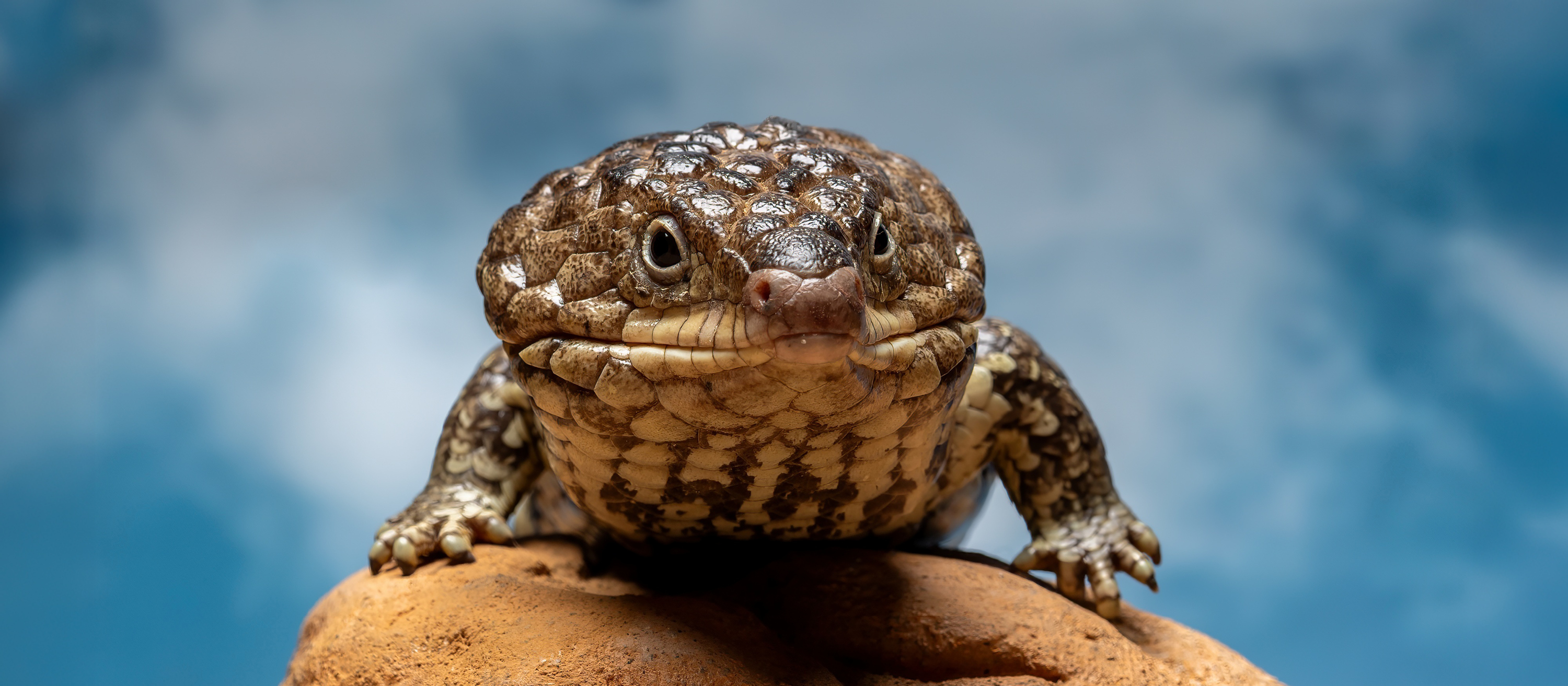 Children | City of Perth