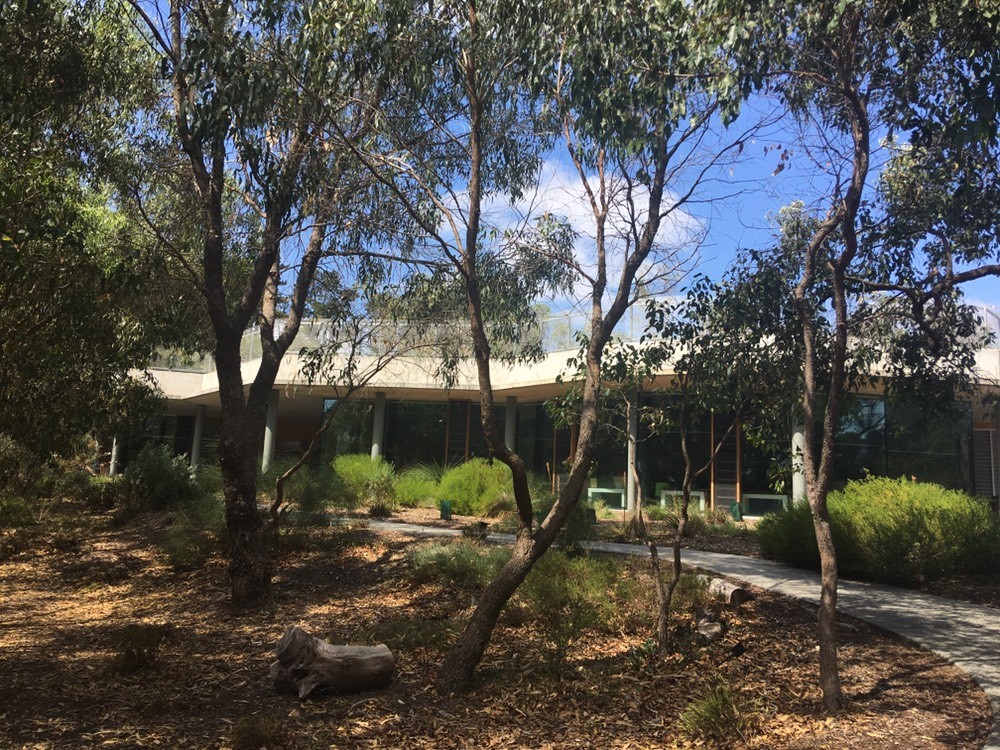 Building and extensions | City of Perth