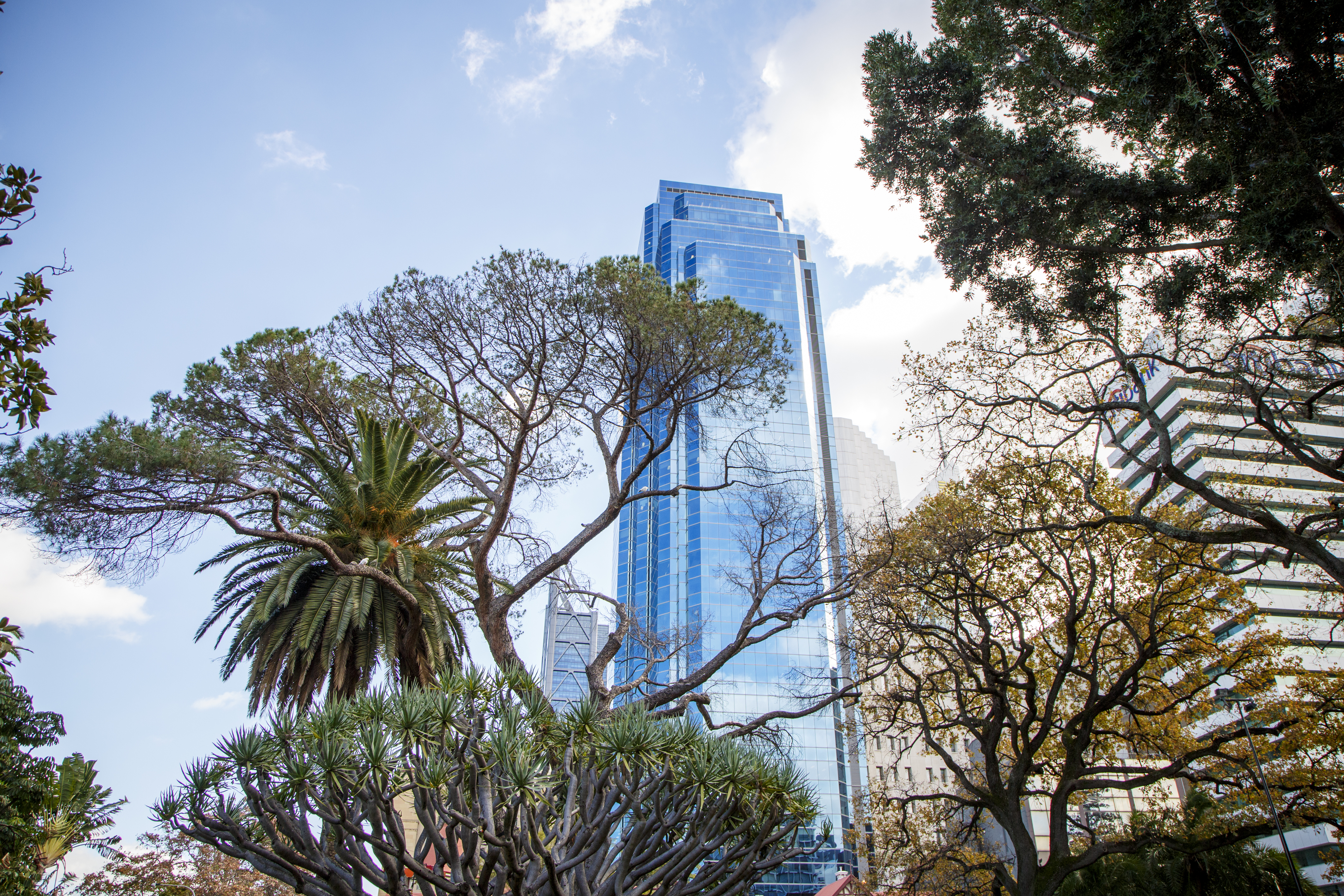 Check out the City's new Sustainability Hub | City of Perth